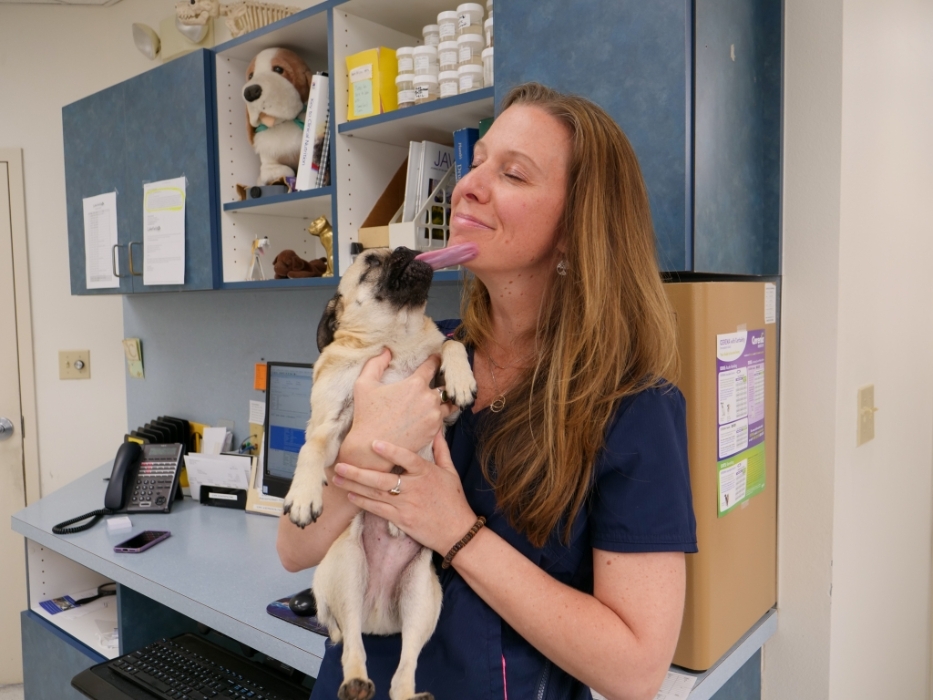 Lakefield Veterinary Group Mission, Benefits, and Work Culture | Indeed.com