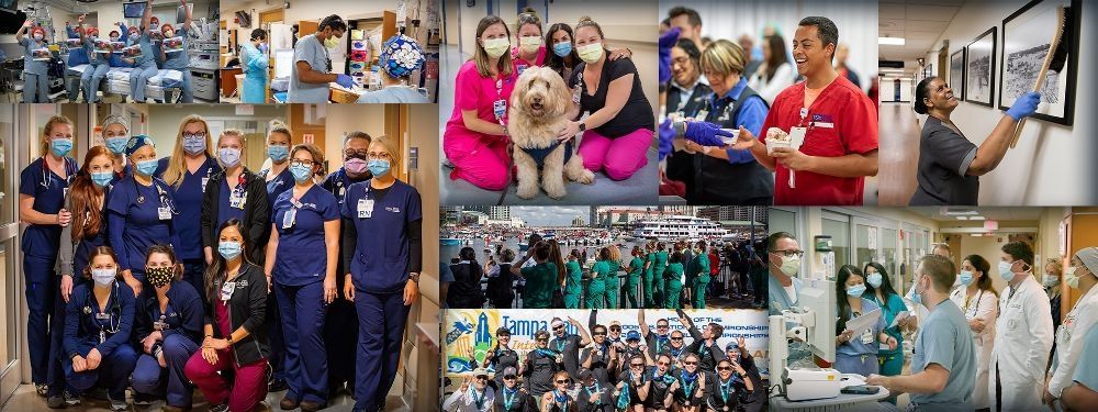 Tampa General Hospital Mission, Benefits, and Work Culture | Indeed.com