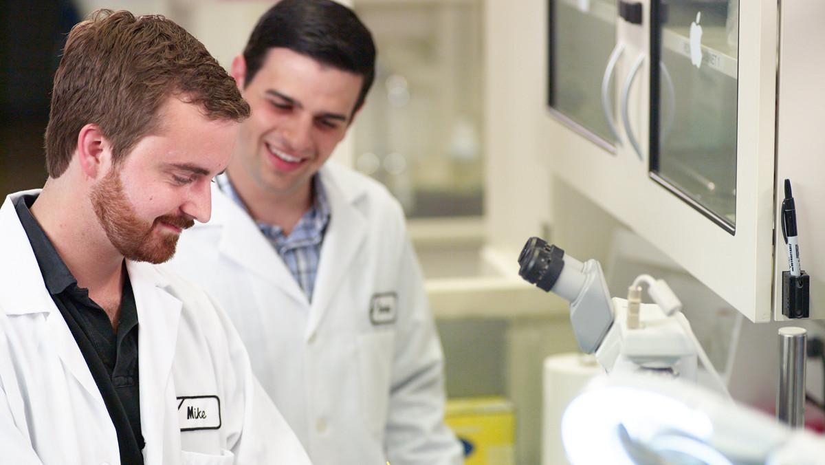 Edwards Lifesciences Mission, Benefits, and Work Culture | Indeed.com