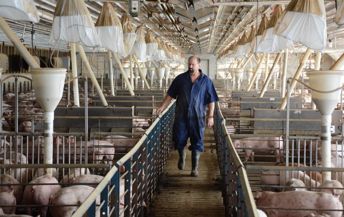 The Maschhoffs Mission, Benefits, and Work Culture | Indeed.com