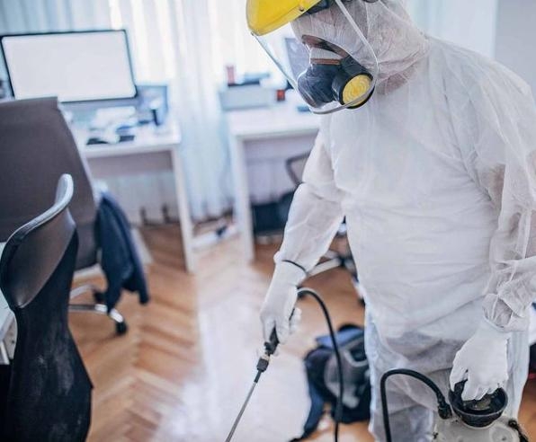 Waltham Pest Services Mission, Benefits, and Work Culture | Indeed.com