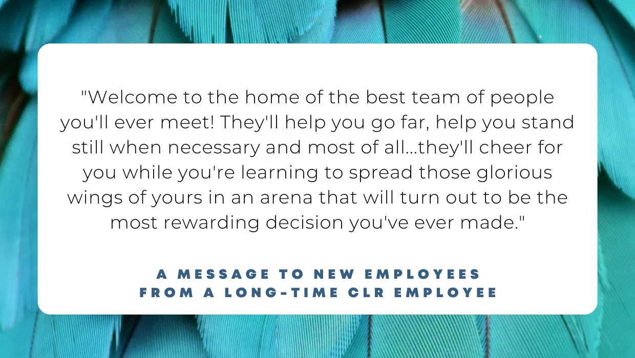 Comprehensive Life Resources Mission, Benefits, and Work Culture ...