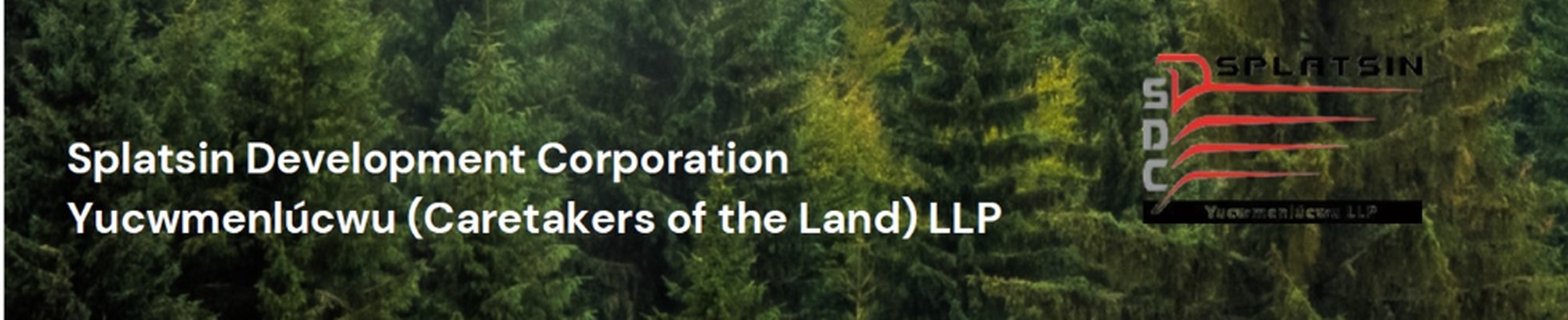 Discover 7,000 Open Vision Company Jobs and Work Opportunities | Indeed