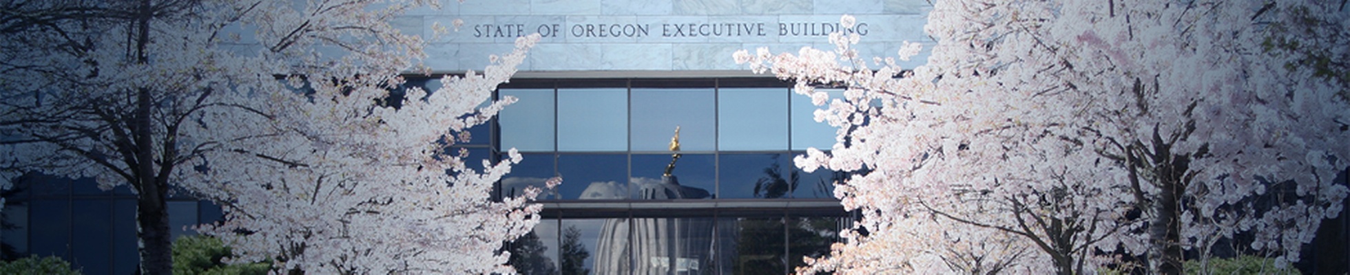Department of Administrative Services Employment and Reviews | SimplyHired