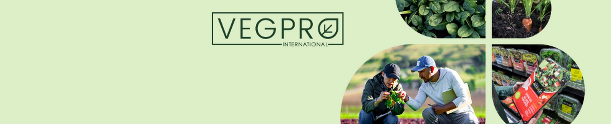 Discover 200 Chef $80000 Jobs and Work Opportunities in Montréal, QC ...