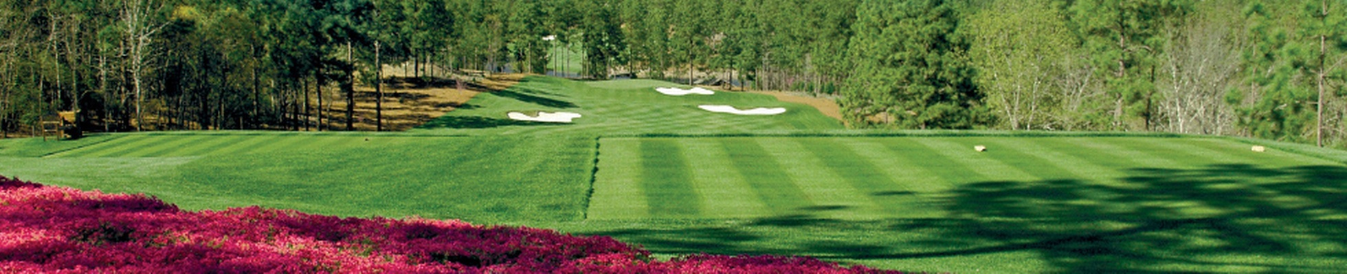 Sage Valley Golf Club Employment and Reviews | SimplyHired