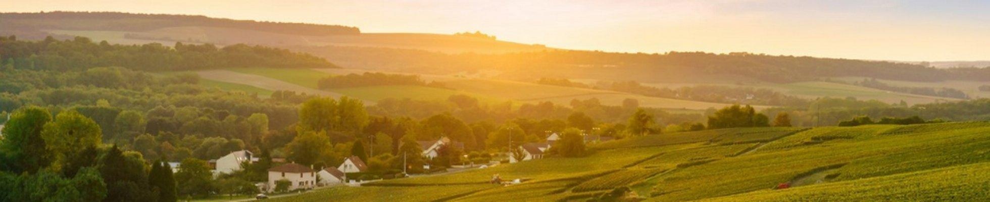 Property Management Work, jobs (with Salaries) | Indeed United Kingdom