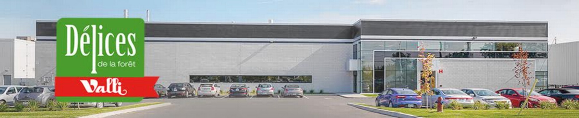 Discover 300 Chef D'activités Jobs and Work Opportunities in Montréal ...