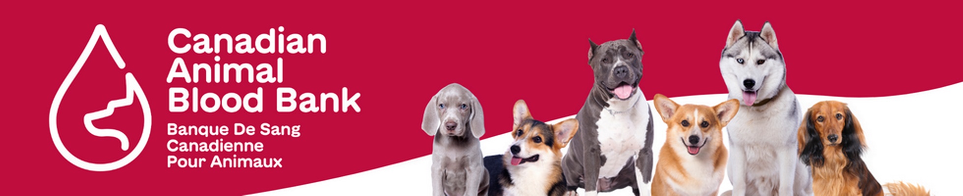 Canadian Animal Blood Bank Inc : emplois et avis | SimplyHired