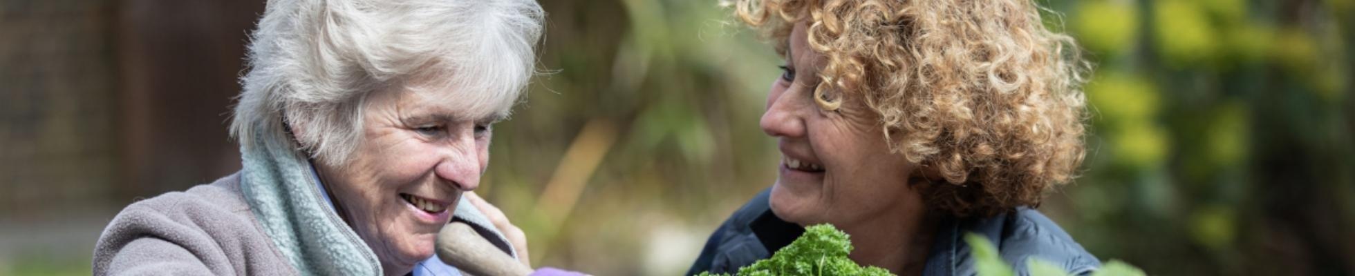 Apply For Enhanced Dbs Myself in Person Jobs, Work (with Salaries ...