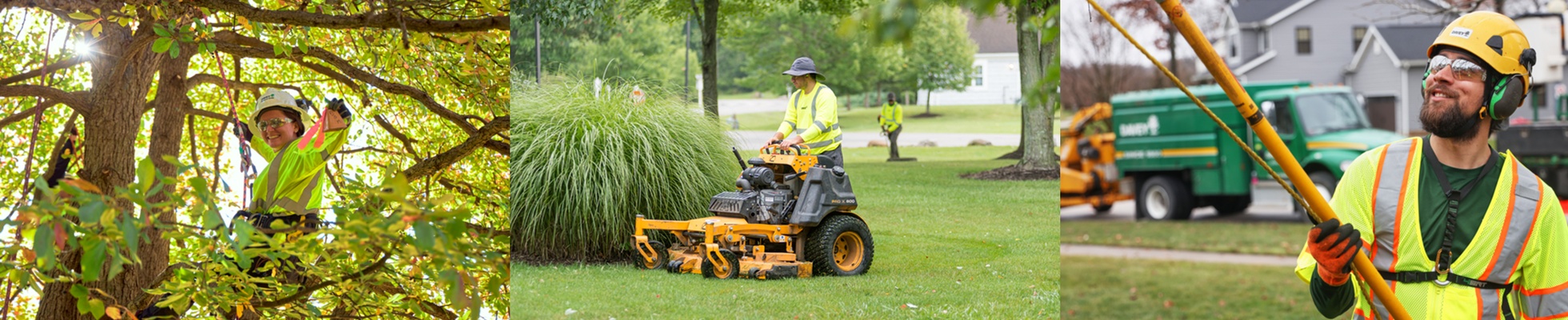 Tree Services in Yelp Jobs, Employment | Indeed