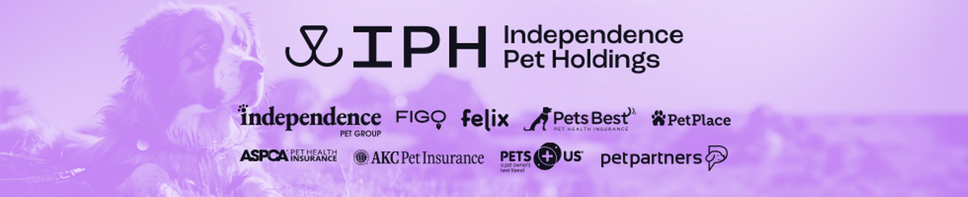 Independence Pet Holdings Employment and Reviews | SimplyHired