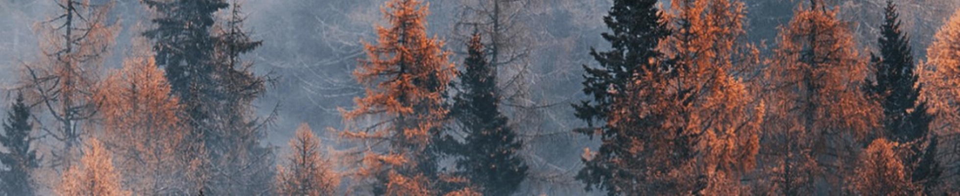 Python Developer Expained Work, jobs (with Salaries) | Indeed United ...