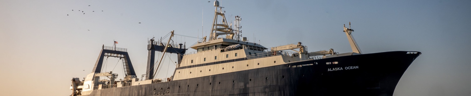 Mundo Do Aco Jobs, Employment | Indeed