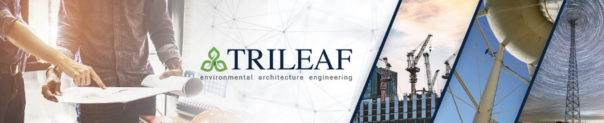 Trileaf Corporation Employment and Reviews | SimplyHired