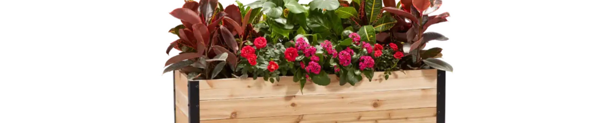 Cedar Planters : emplois et avis | Workopolis