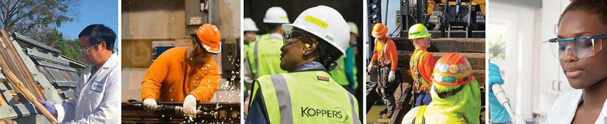 Environmental Conservation Graphic Design Jobs, Employment in Saint ...