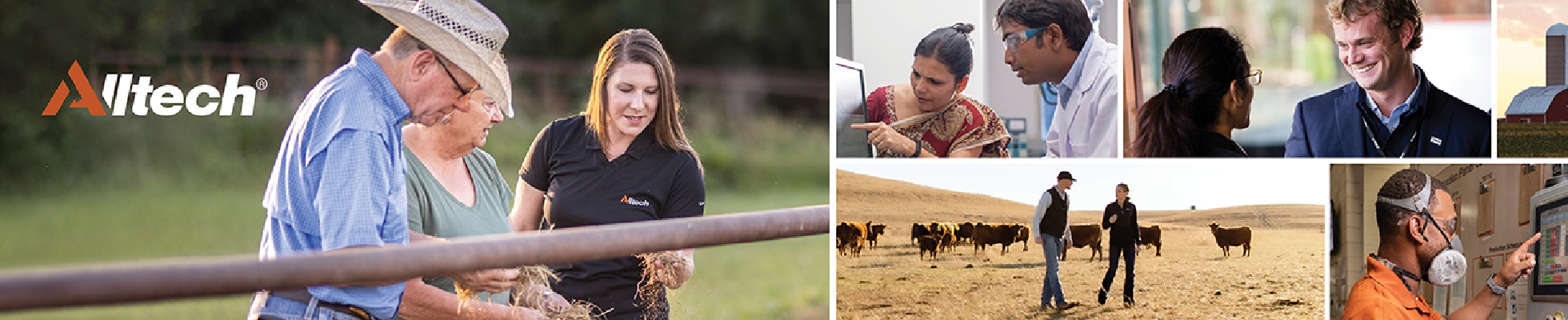 Jobs, Employment in Springfield, KY | Indeed.com