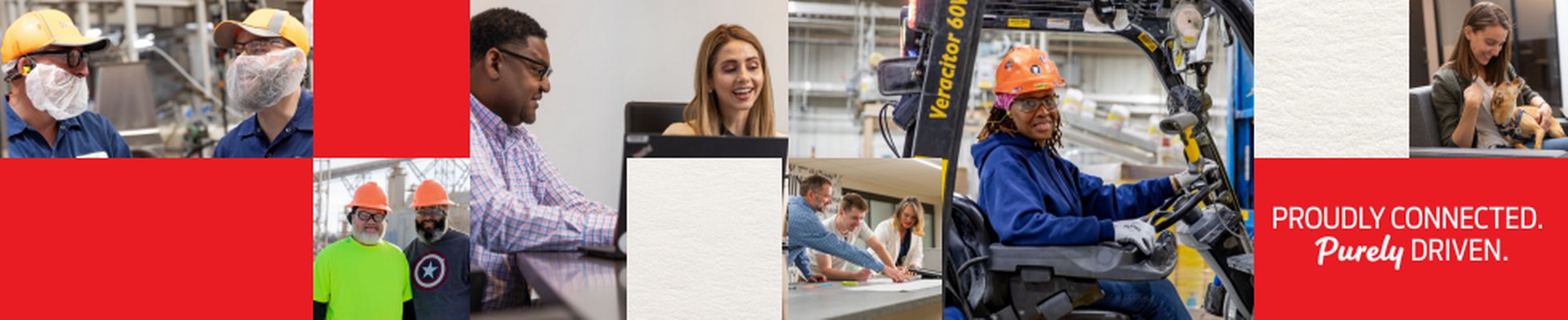 Purina Jobs, Employment in New Cumberland Army Depot, PA | Indeed.com