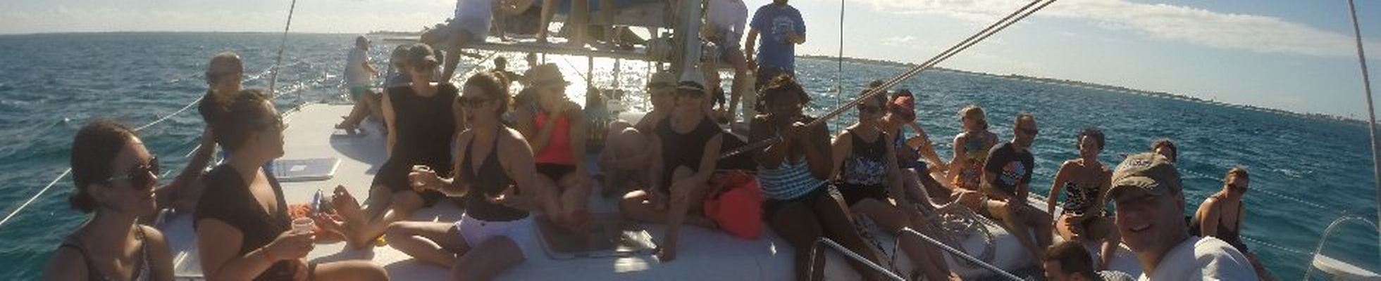 Intouch Insight employment and reviews | SimplyHired