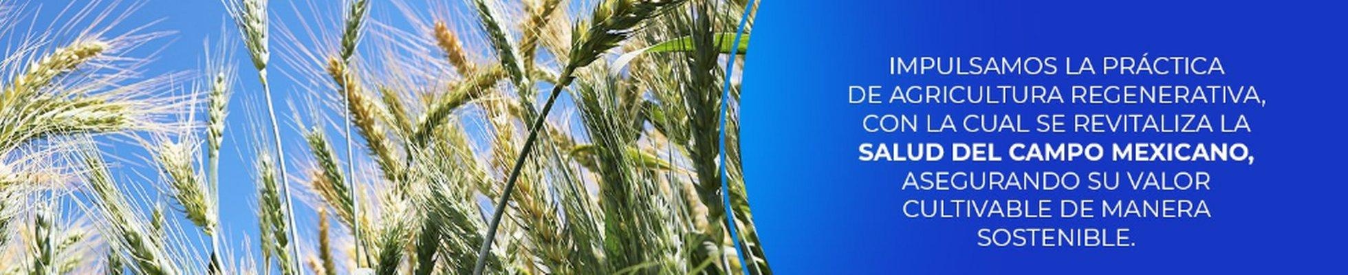 Bimbo Bakeries Jobs, Employment in Oak Cliff, TX | Indeed.com