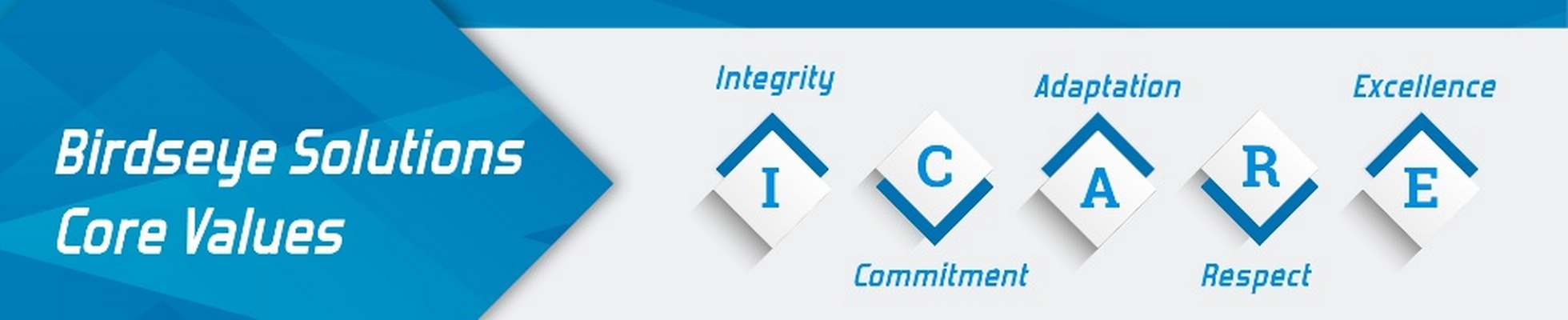 Birdseye Solutions employment and reviews | Workopolis