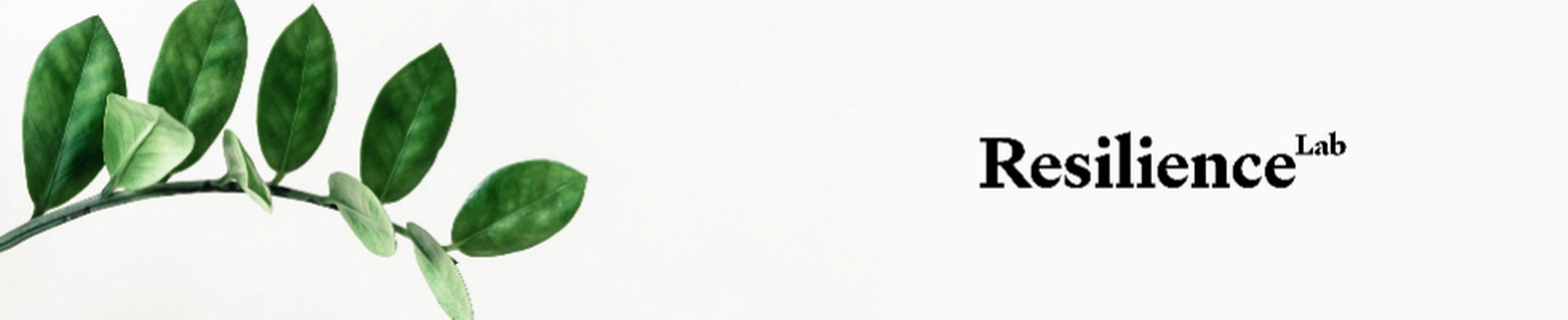 Lcsw Jobs, Employment | Indeed