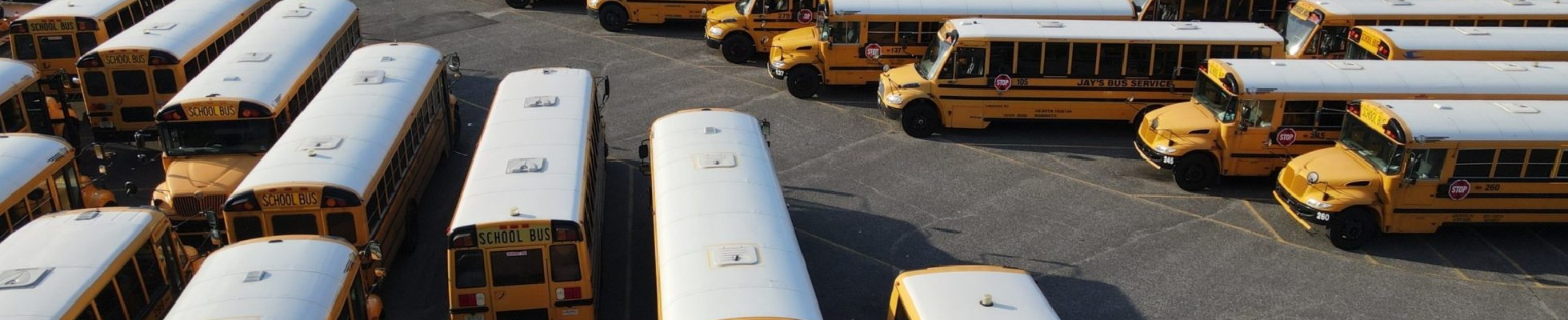 School Bus Attendant Jobs, Employment in Holmdel, NJ | Indeed