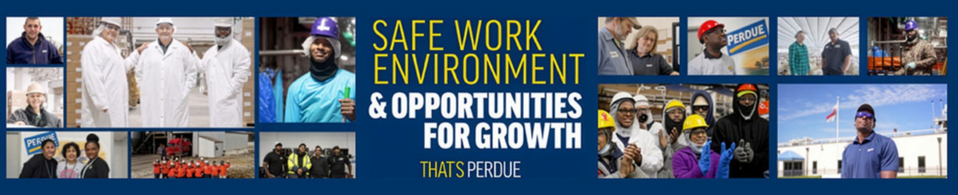 Food Supply Chain Jobs, Employment | Indeed