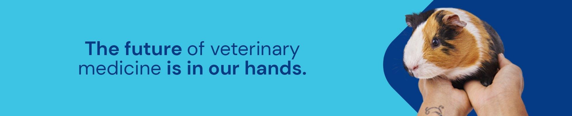 Vca Animal Hospital Jobs, Employment in Hudson, NH | Indeed.com