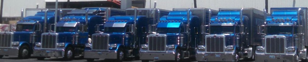 Working at Western Distributing Transportation Corp: Employee Reviews ...