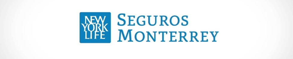 Salarios de Asesor/a comercial de seguros en Seguros Monterrey New York ...
