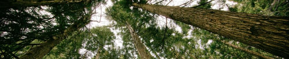 Working at Evergreen Recovery Centers: Employee Reviews | Indeed.com