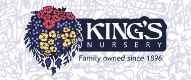 King's Nursery Careers and Employment | Indeed.com