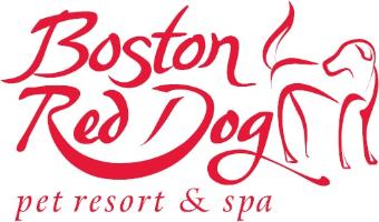 Boston Red Dog Careers and Employment | Indeed.com