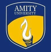Amity University Jobs and Careers | Indeed.com