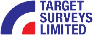 Target Surveys Limited Careers and Employment | Indeed.com