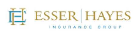 Esser Hayes Insurance Group Careers and Employment | Indeed.com