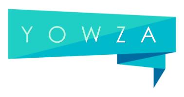 Yowza Consulting Private Limited Jobs and Careers | Indeed.com