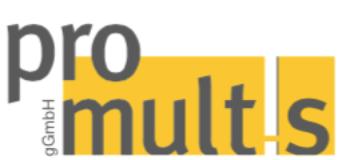 Sueldos de pro multis gGmbH en México: ¿Cuánto paga pro multis gGmbH ...