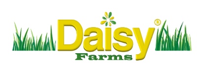 Working at Daisy Farms: Employee Reviews | Indeed.com