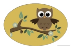 OWL Early Intervention Program Careers and Employment | Indeed.com