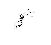 NSLP, Inc. Careers and Employment | Indeed.com