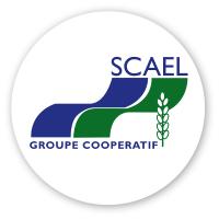 Groupe Scael Emploi et carrière | Indeed.com
