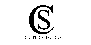 Copper Spectrum Careers and Employment | Indeed.com