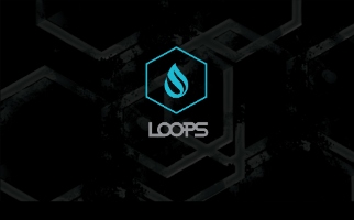 Empleo e información laboral de LOOPS MÉXICO | Indeed.com