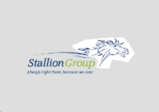 STALLION GROUP salaries: How much does STALLION GROUP pay? | Indeed.com