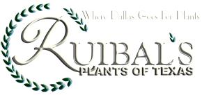 Ruibal's Plants of Texas Careers and Employment | Indeed.com