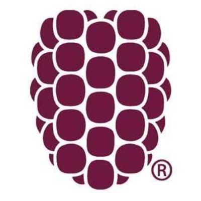 Working at Dewberry: 105 Reviews | Indeed.com