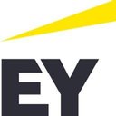 Senior Manager - Turnaround and Restructuring Strategy - EY ...
